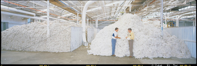 "Wool scouring process, Jandakot Wool Scourers"